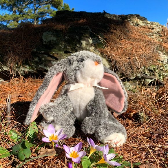 Russ Berrie | Toys | Bouncy By Russ Caress Soft Pets 8 Plush Bunny ...